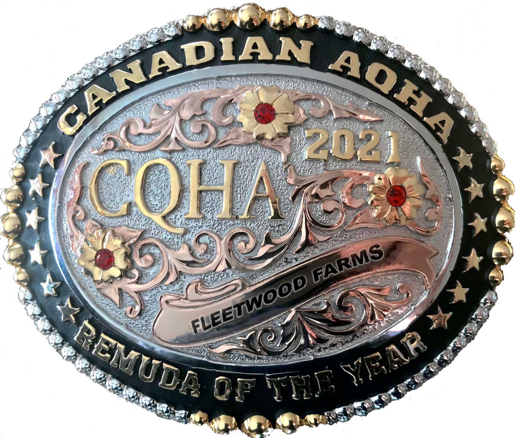 2021 CQHA Remuda Award - Canadian Quarter Horse Association